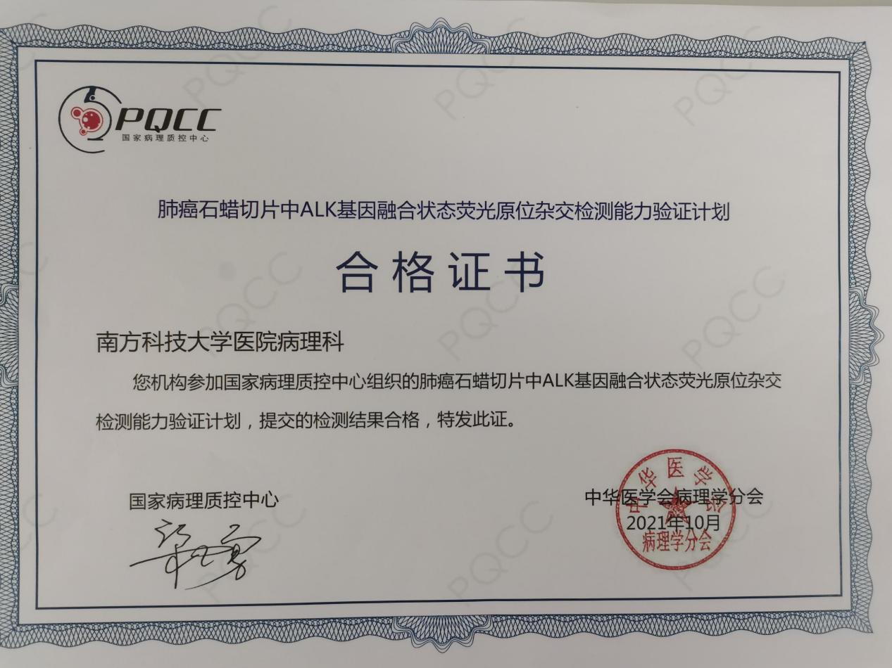 病理科新开展分子病理技术首获国家级分子病理室间质评（PQCC）合格证书 - 南方科技大学医院